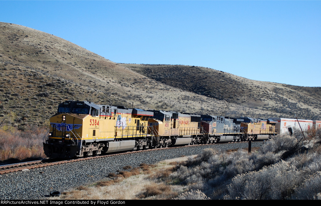 UP 5384 leads an UP freight west